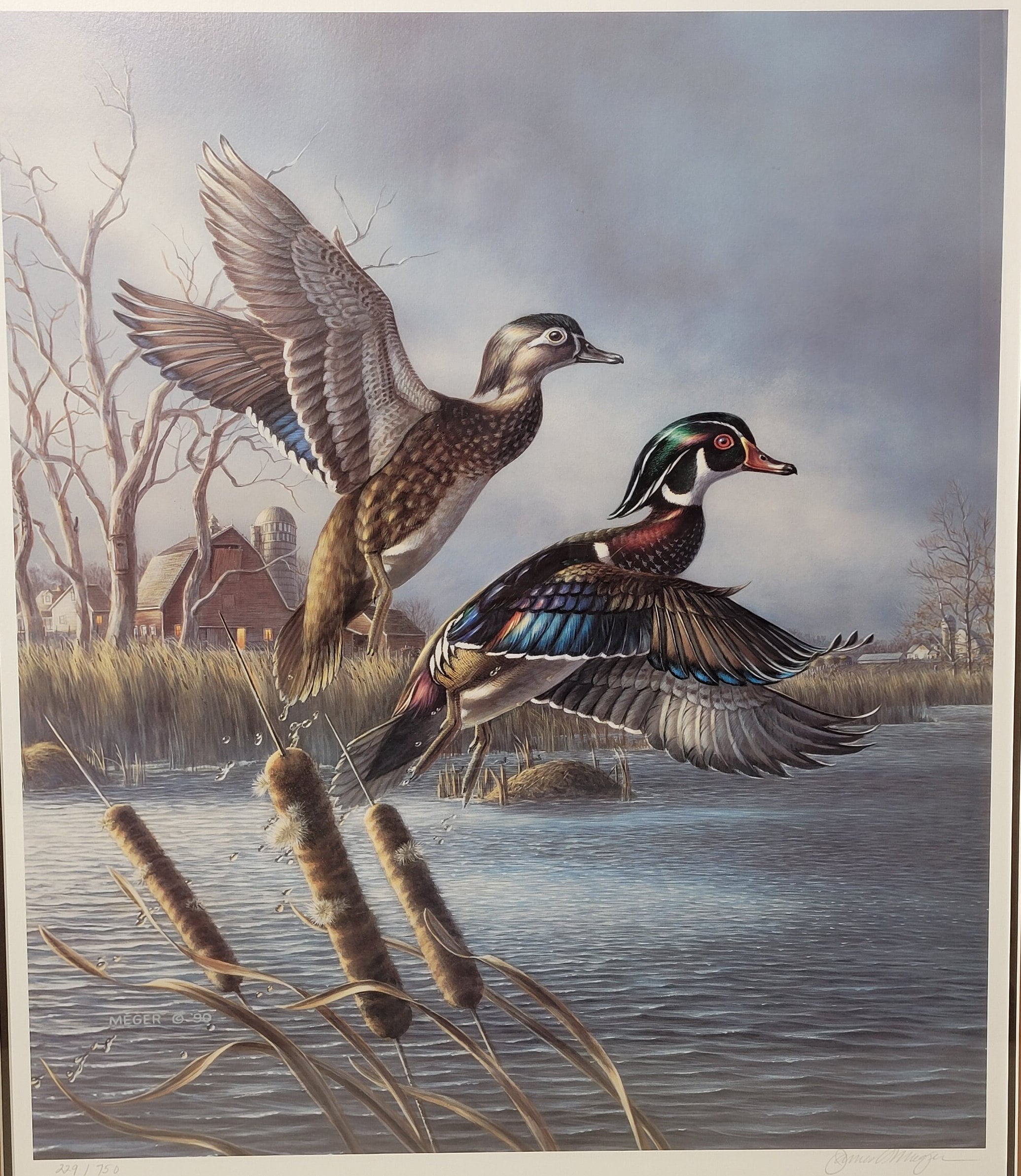 James Meger, Breezing Up, Wood Duck Lithograph, Signed/numbered/framed ...