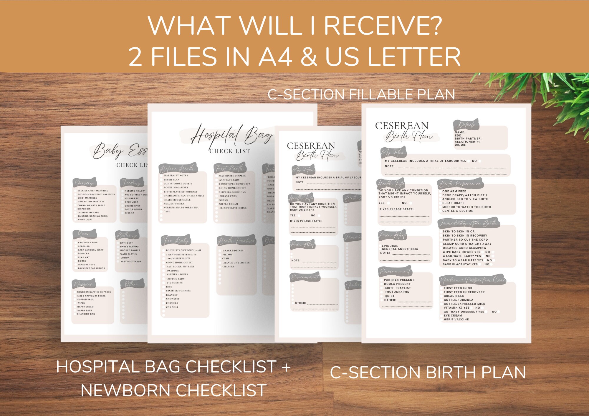 C Section Birth Plan Template Cesarean Birth Plan Printable Birth ...