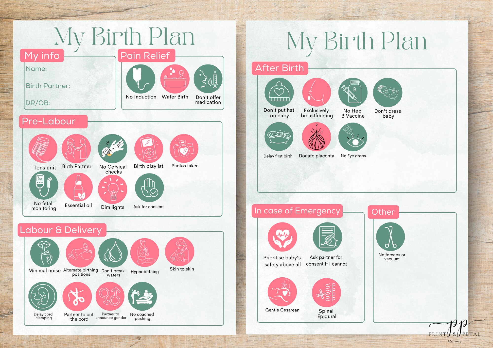 Visual Birth Plan Birth Preference Template Natural Birth Plan Canva ...