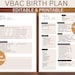 Vbac Birth Plan Template Printable Birth Plan Natural Birth Plan Birth ...