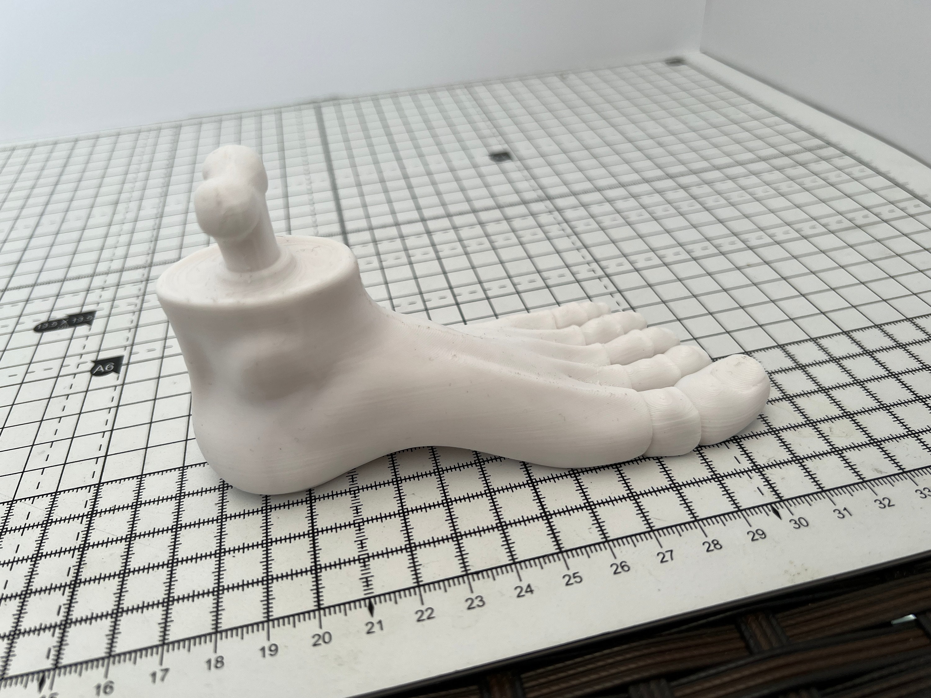 3D Printed Flexi Feet Left and Right Bone Flexi Factory - Etsy