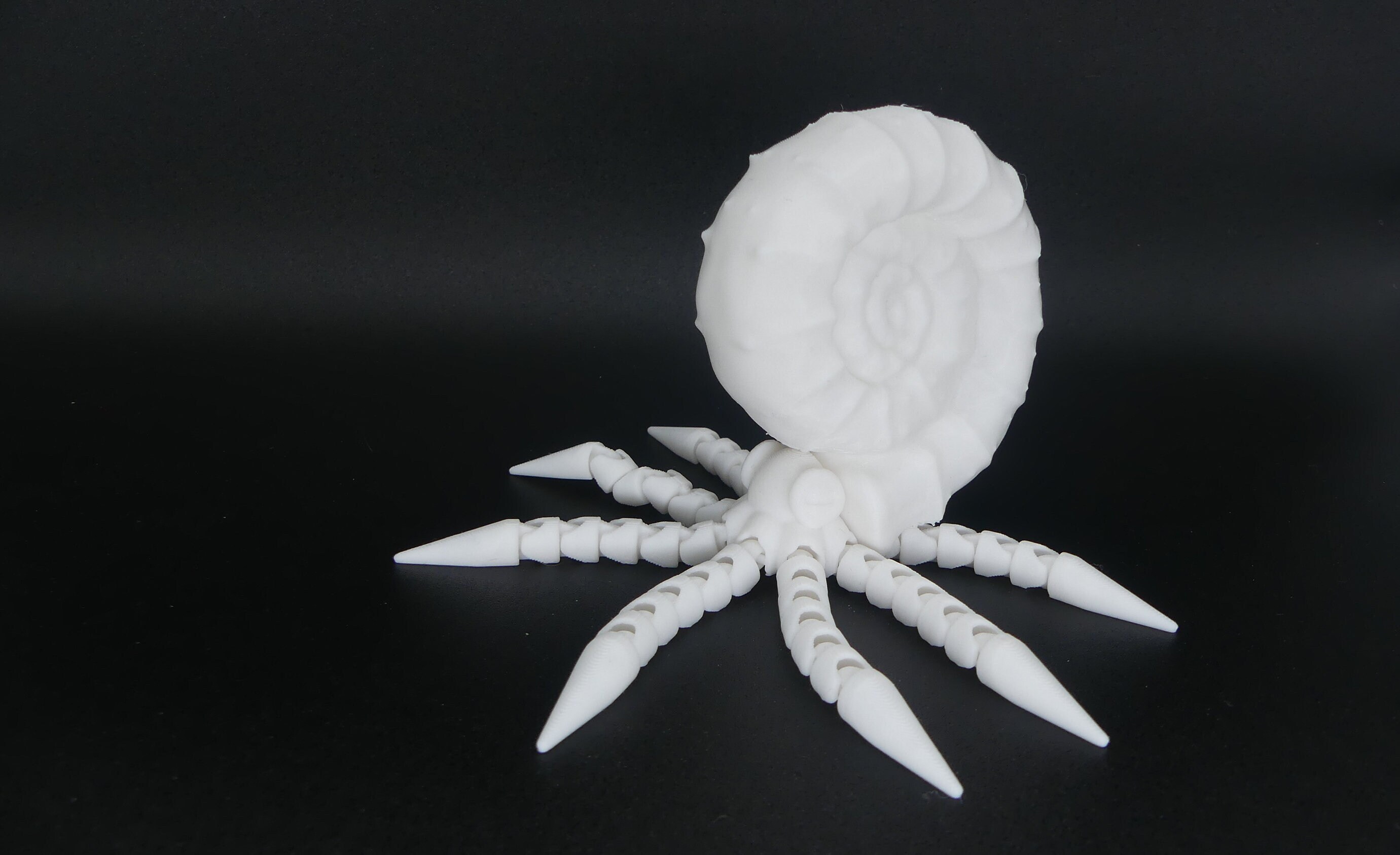 3D Printed Flexi Articulated Ammonite - Etsy