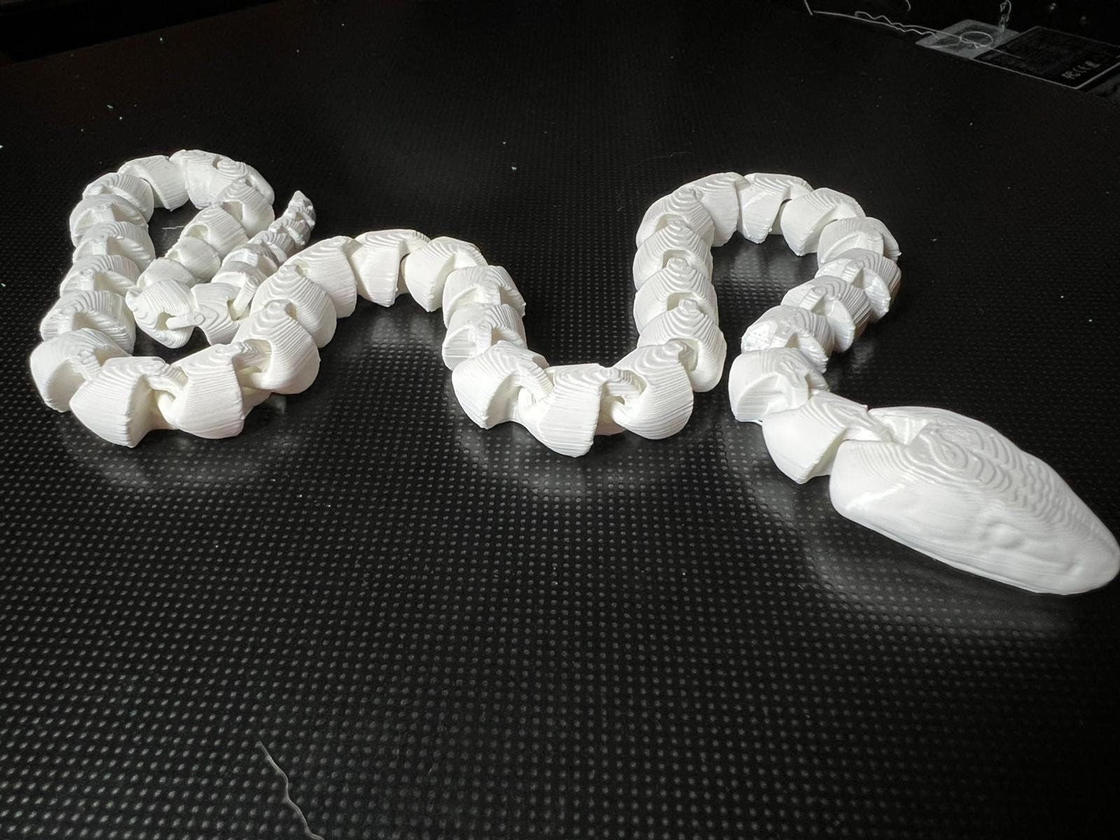 Flexi Snake Model and Fidget Toy - Etsy