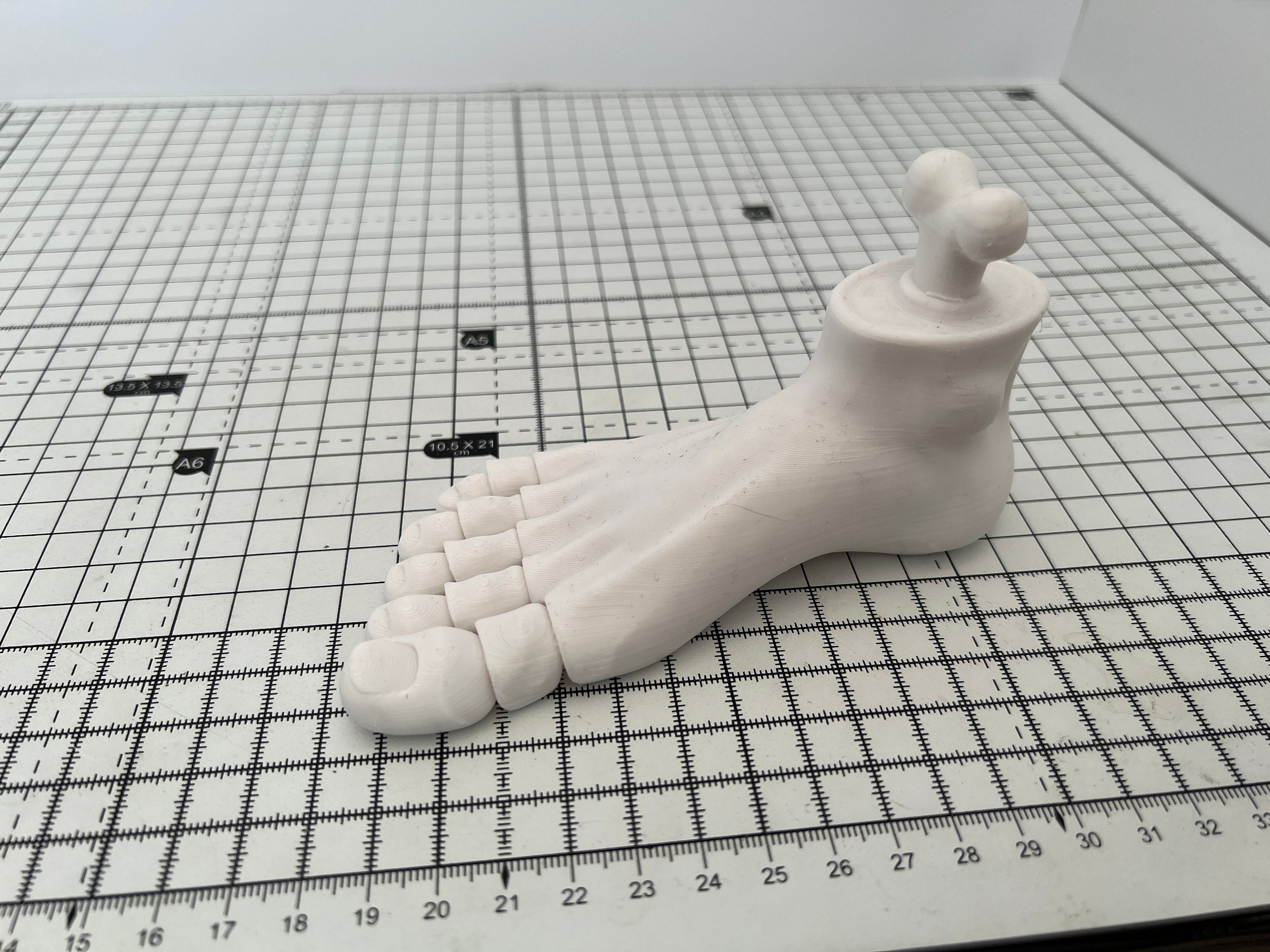 3D Printed Flexi Feet Left and Right Bone Flexi Factory - Etsy
