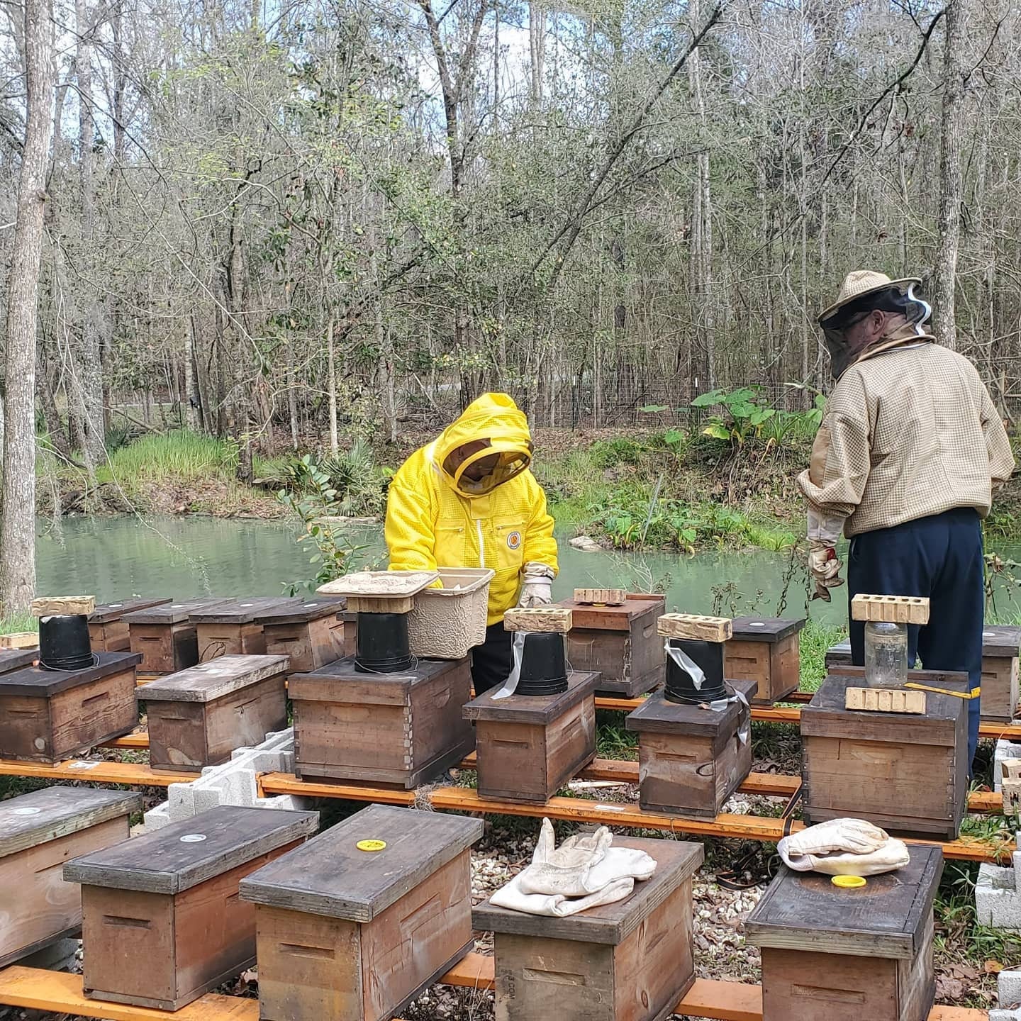 Killer Bee - Fire Honey - Etsy