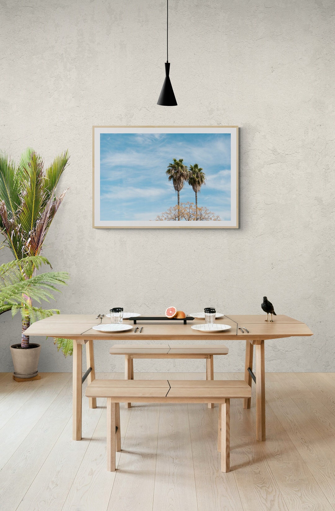 Fine Art Palm Trees Photography, Spain Wall Art, Fine Art Coastal Palm ...