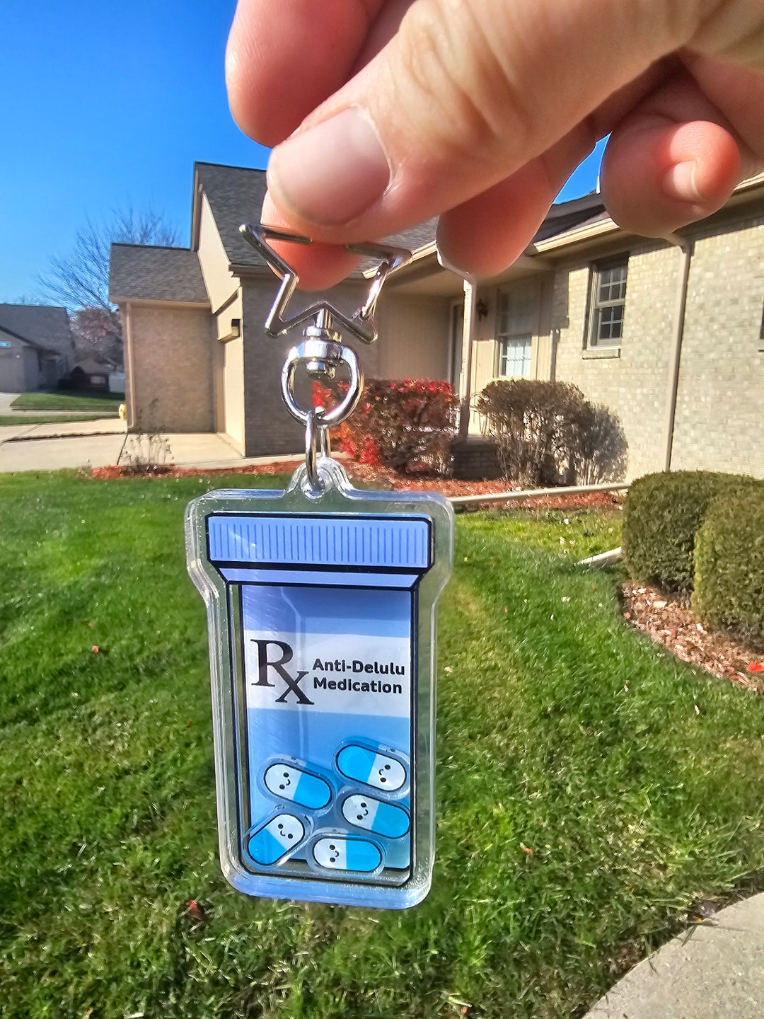 Anti-delulu Medication Shaker Keychain - Etsy