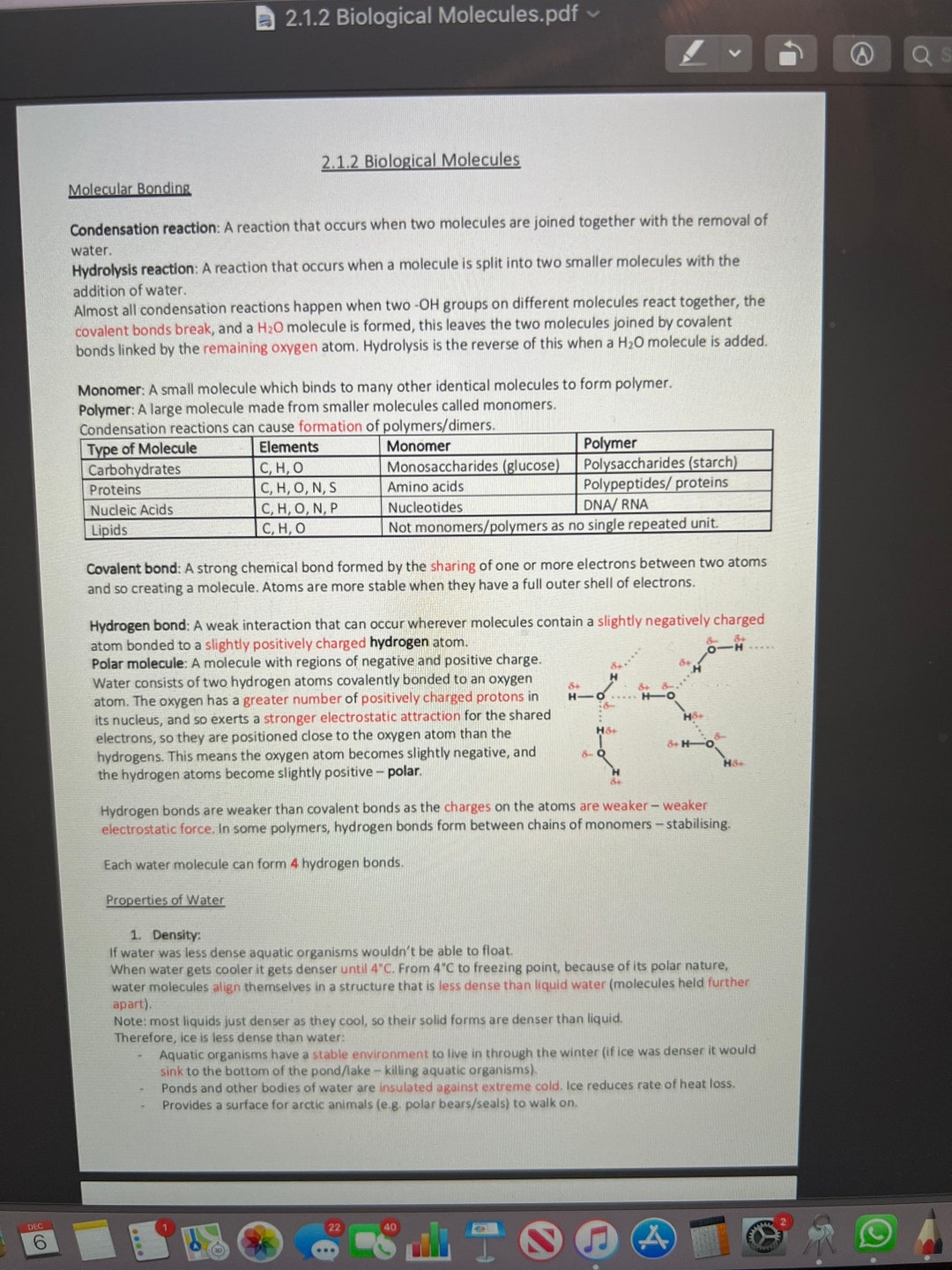 A-level Biology Ocr a Revision Notes YEAR 1 - Etsy