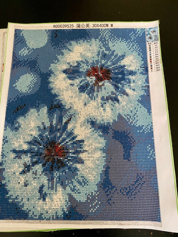 Completed Diamond Painting | Etsy