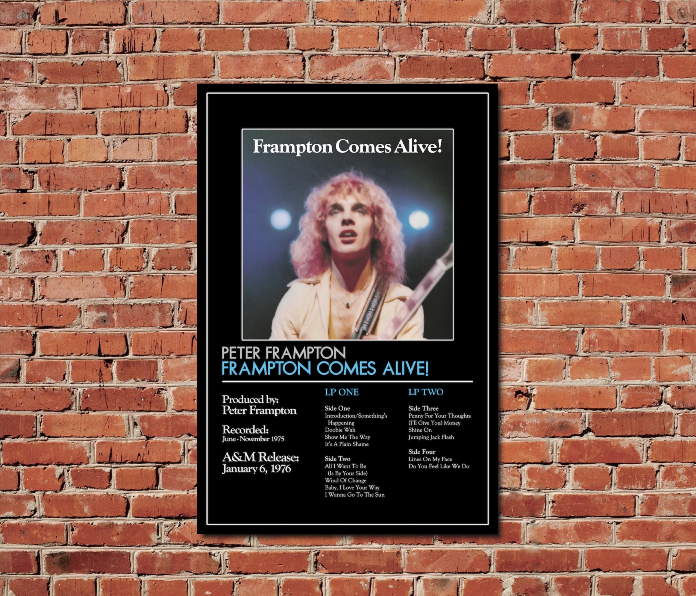Peter Frampton Classic Rock Band Wall Art Poster Album Cover Frampton ...