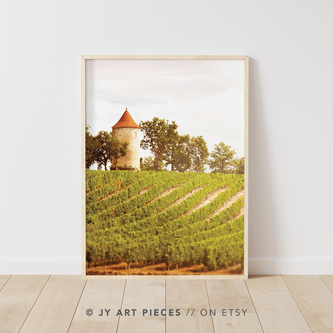 Vineyard Prints, Vineyard Wall Art, France Wall Art, France Landscape ...