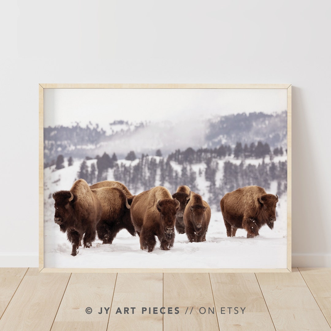 Winter Bison Print: Buffalo in Snow, Rustic Wall Art (digital Download ...