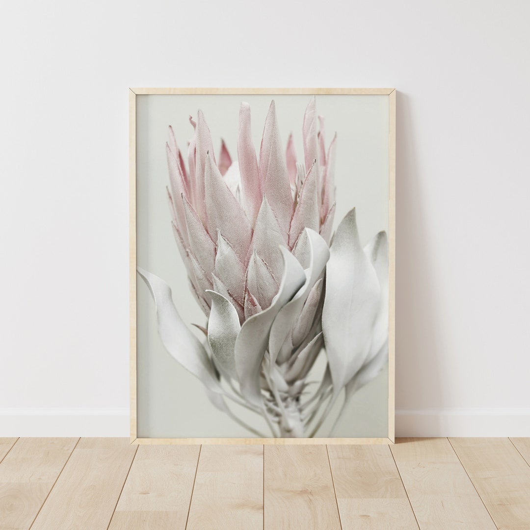 Protea Prints, Protea Wall Art, Protea Printable, Floral Prints Pink ...