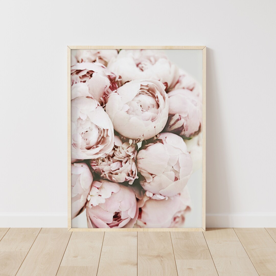 Peony Prints, Peony Wall Art, Pink Flower Prints, Floral Prints, Floral ...