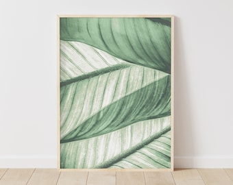 Leaf Close up Art - Etsy