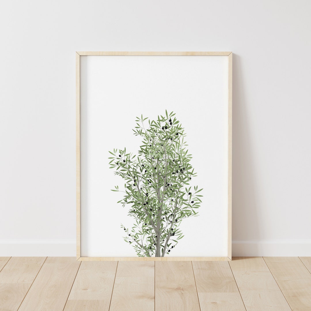 Young Olive Tree Print Tree Wall Art Botanical Print - Etsy