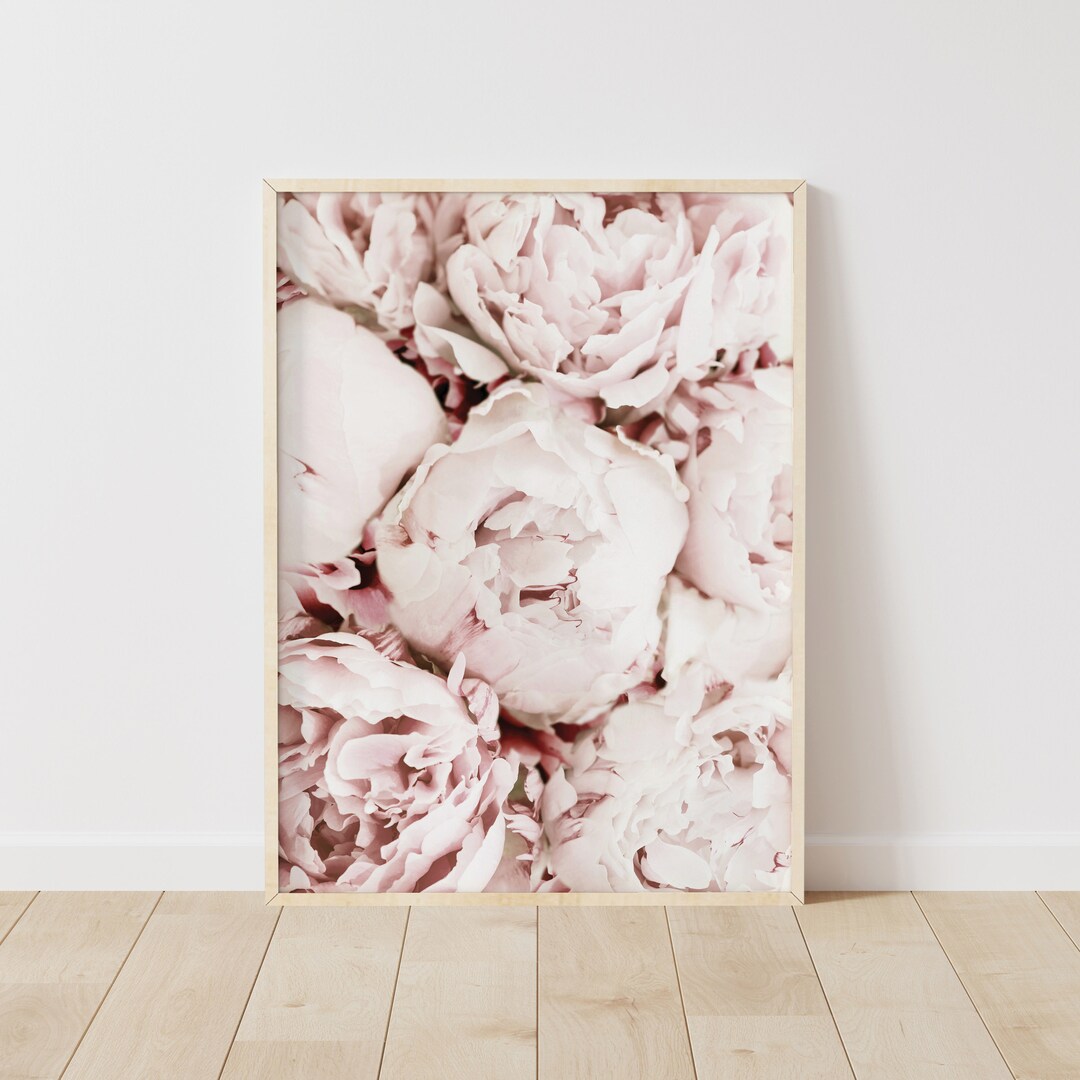Peony Prints, Printable Peony Wall Art, Pink Flower Prints, Floral ...