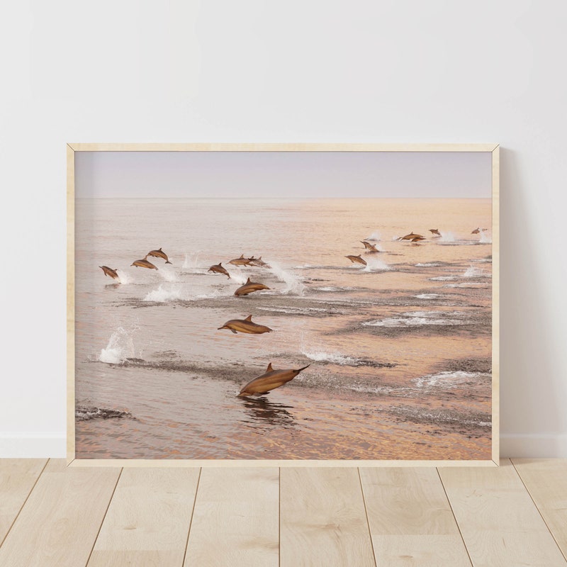 Dolphin Wall Art - Etsy