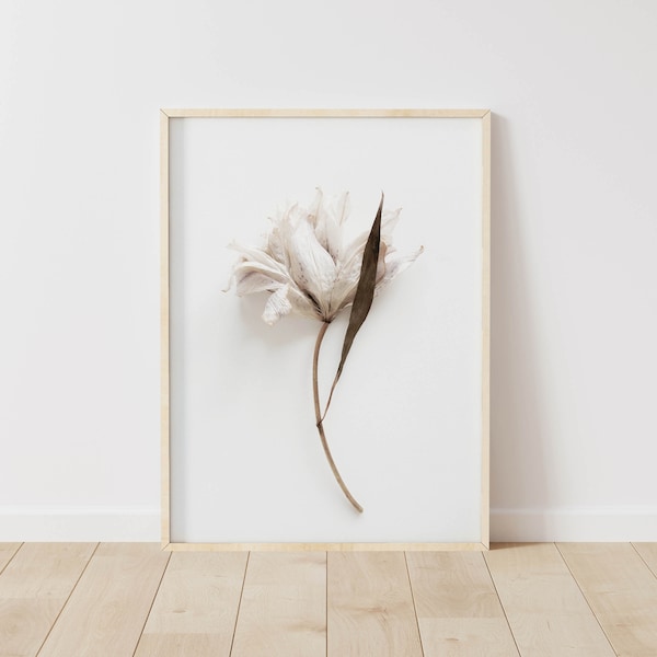 Dried Flower Art - Etsy