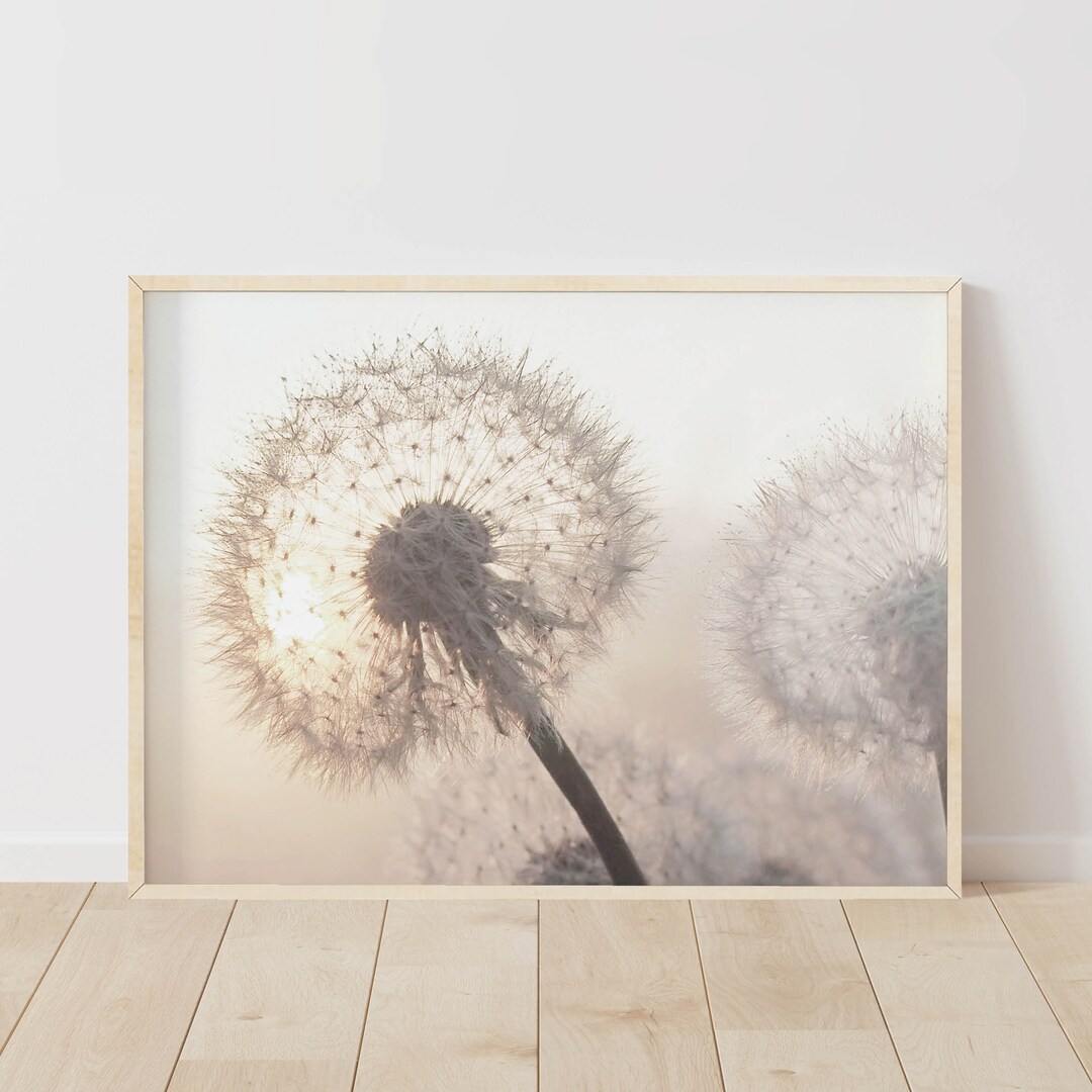 Dandelion Prints, Modern Farmhouse Wall Art, Wildflower Botanical Decor ...
