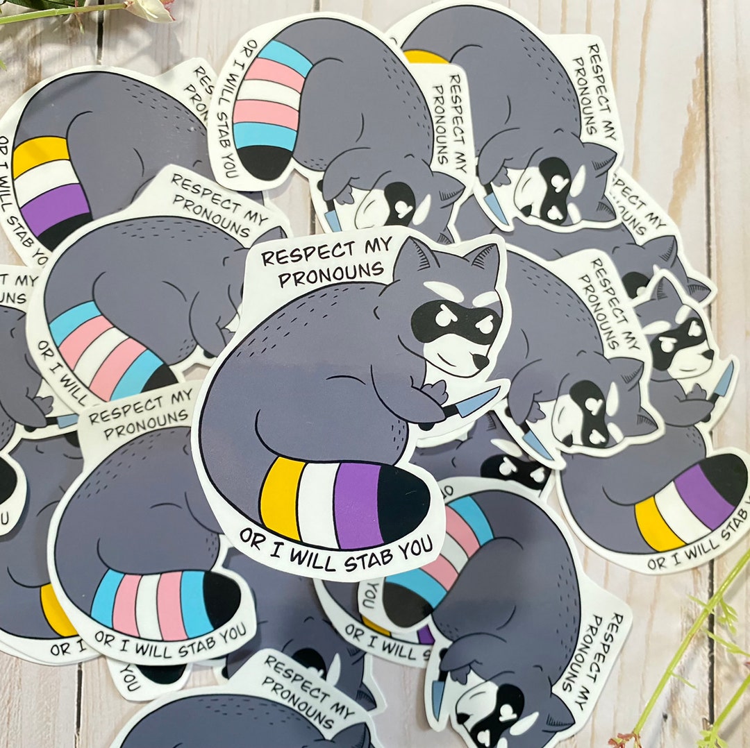 Respect My Pronouns or I'll Stab You Nonbinary Raccoon Sticker LGBT ...