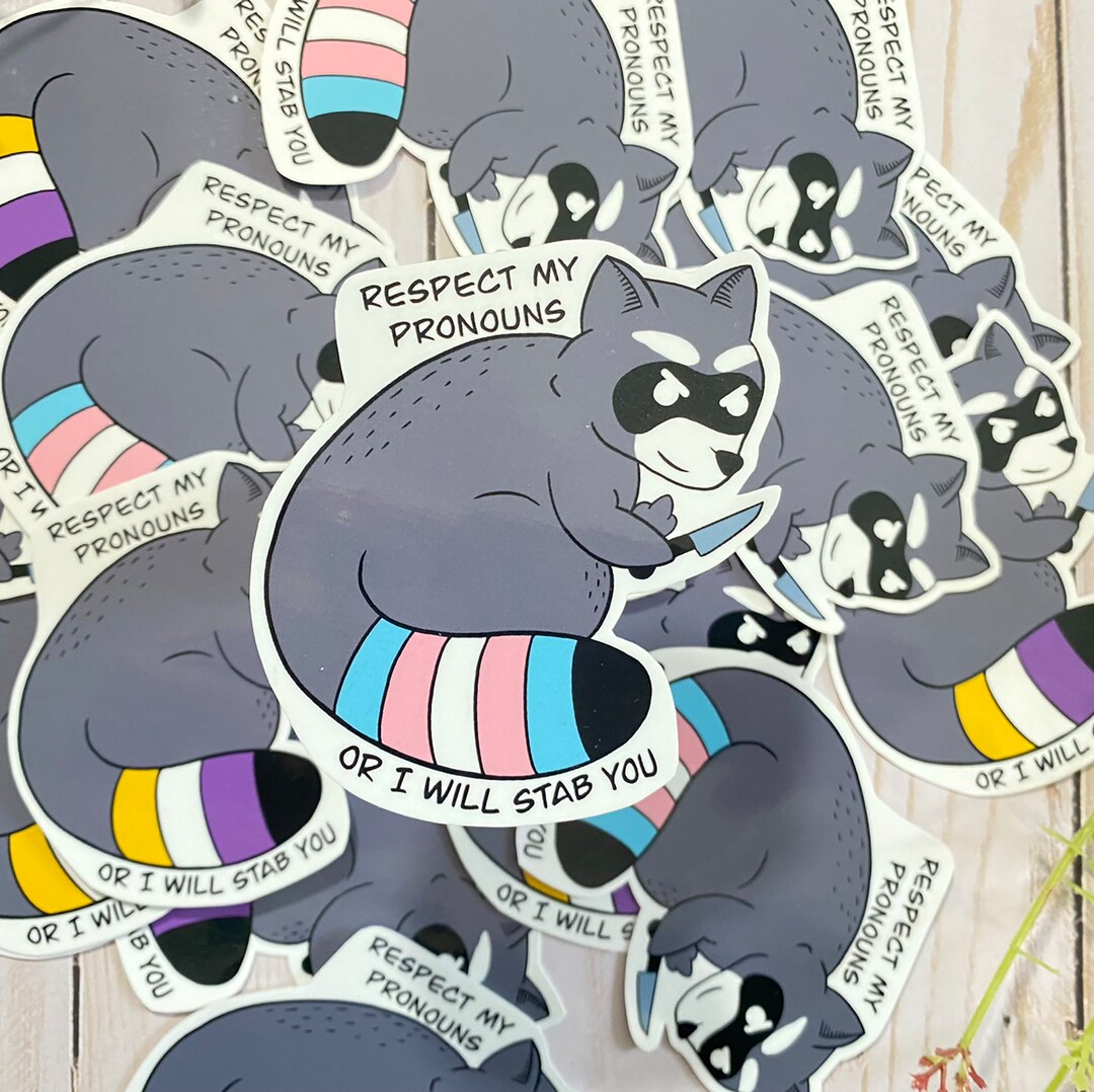 Respect My Pronouns or I'll Stab You Trans Raccoon LGBT Pride NB Non ...