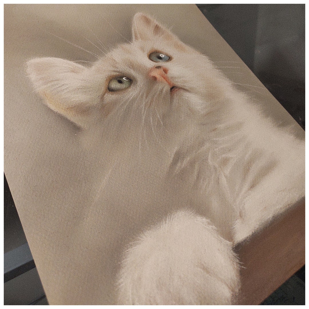 Cat Drawing - Pastels - Etsy