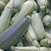 Grey Zucchini, 20 Seeds, Mexican Zucchini Summer Squash Seeds Korean ...