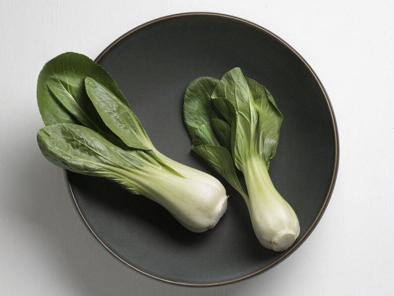 Shanghai Baby Pak Choi 200 Seeds Oriental Chinese Bok Choy - Etsy