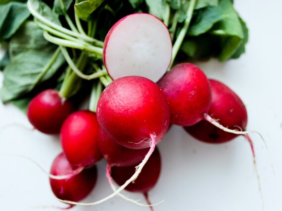 Cherry Belle Radish 100 Seeds Red Radish Chinese Radish - Etsy