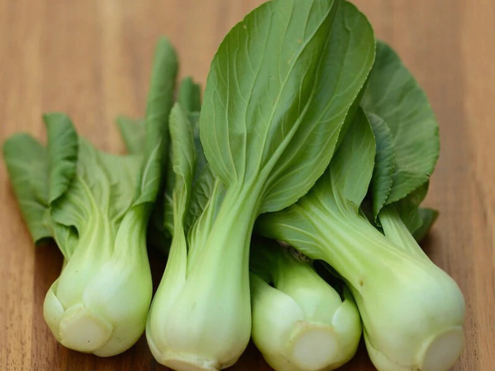 Shanghai Baby Pak Choi 200 Seeds Oriental Chinese Bok Choy - Etsy