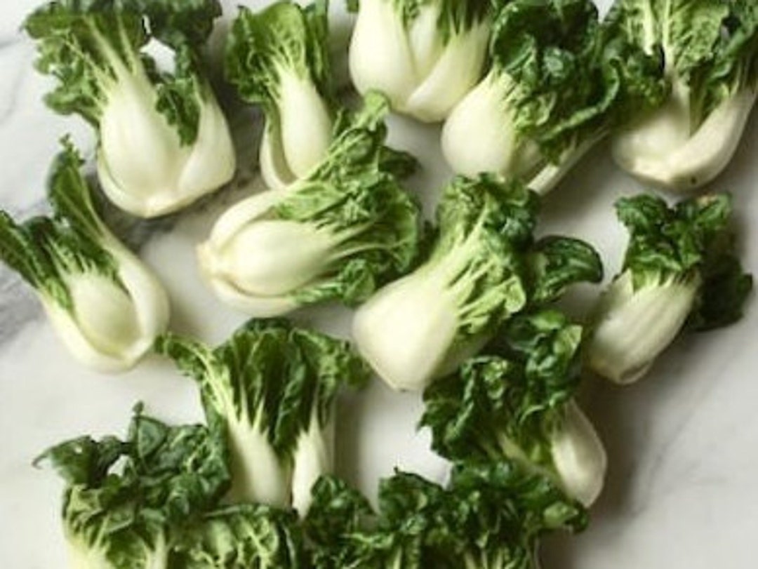 Extra Dwarf Baby Pak Choi, 200 Seeds, Chinese Cabbage Dwarf Bok Choy ...