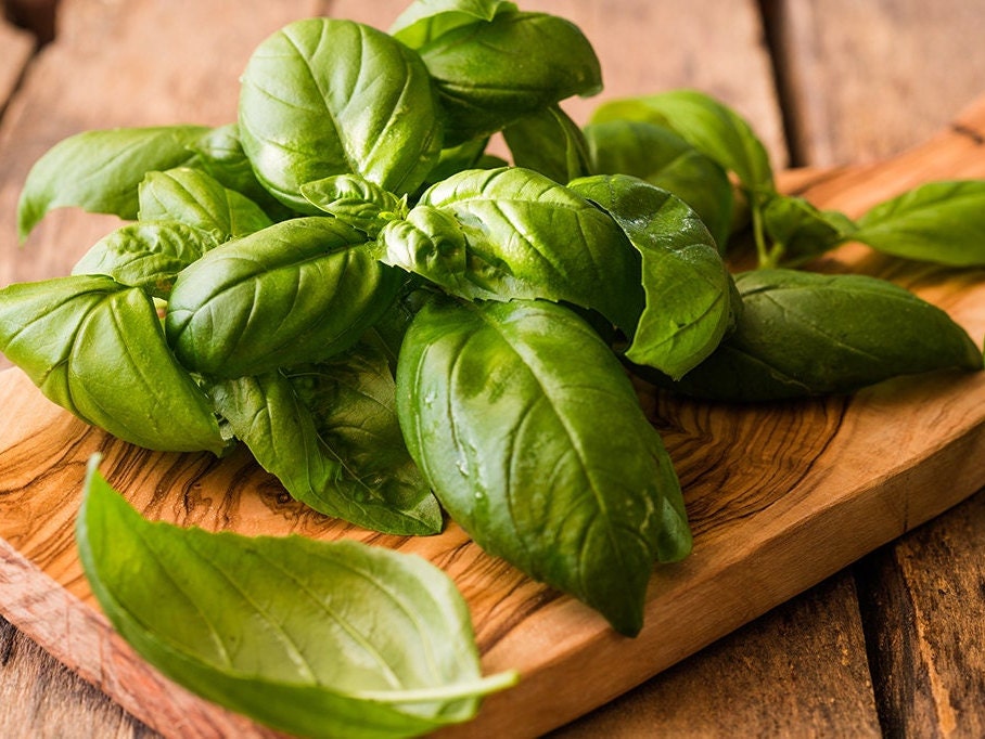 Genovese Basil 200 Seeds Sweet Italian Basil Seeds Spice - Etsy