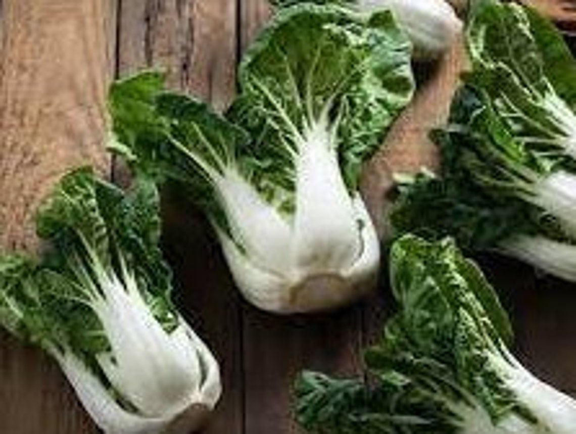 Extra Dwarf Baby Pak Choi 200 Seeds Chinese Cabbage Dwarf - Etsy
