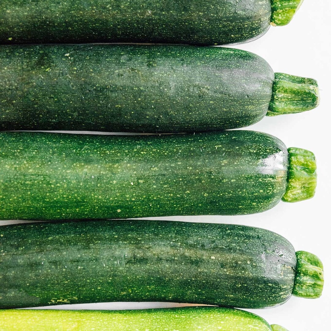 Dark Green Zucchini, 30 Seeds, Traditional Zucchini Summer Squash Seeds ...