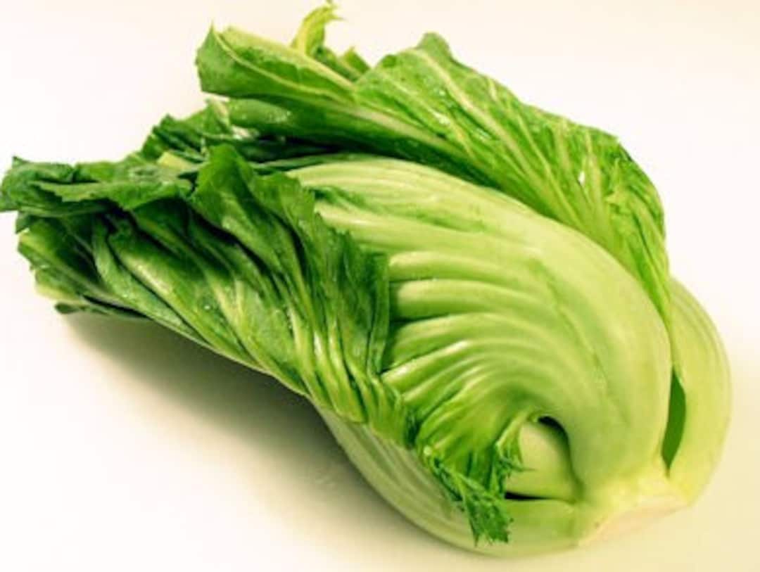 Chinese Mustard (gai Choy), 200 Seeds, Oriental Mustard Greens Gai Choi ...