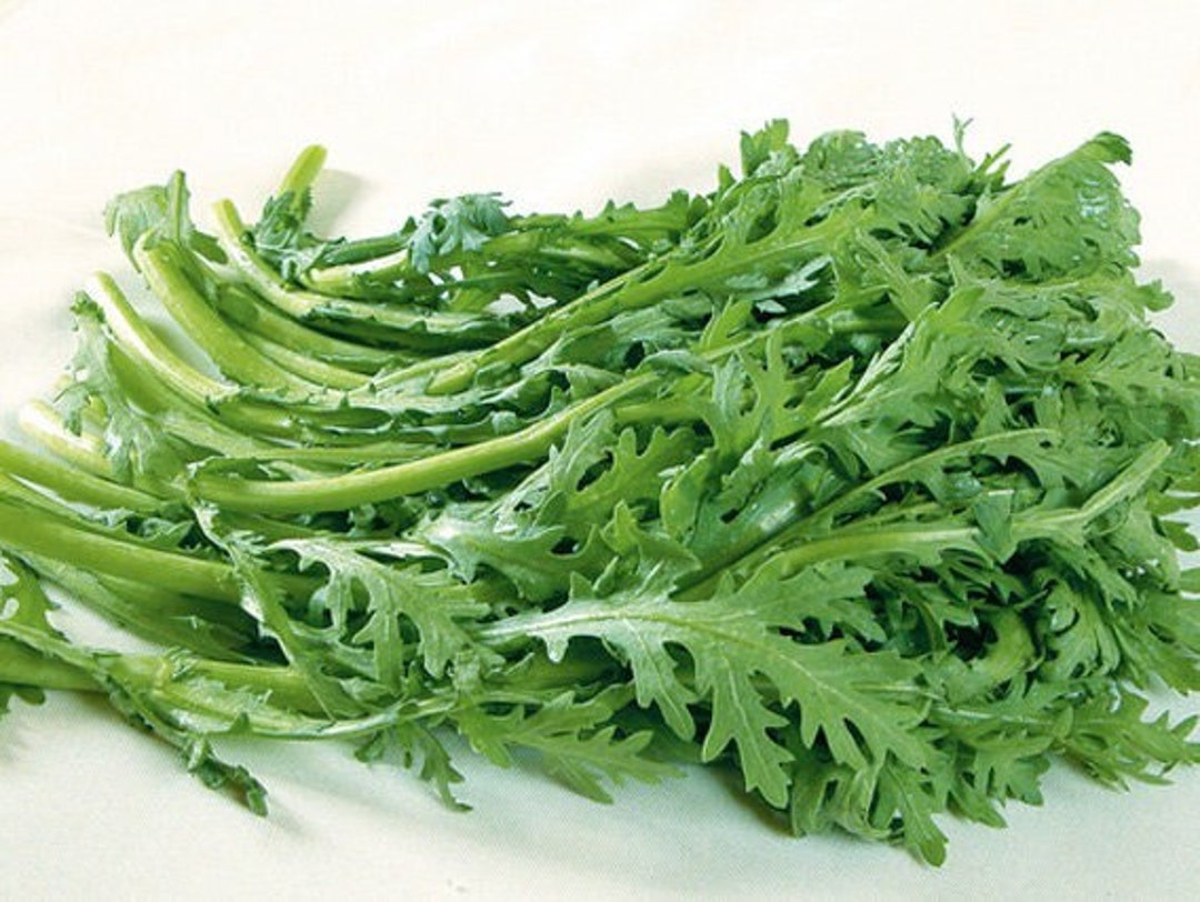 Tong Ho Medium Serrated, 200 Seeds, Crown Daisy Garland Chrysanthemum ...