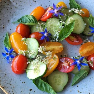 Borage, 100+ Seeds, Borago Officials, Blue Blossom, Flower Wildflower ...