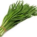 Garlic Chive Broad Leaved Nira, 100 Seeds, Chinese Leek Japanese ...