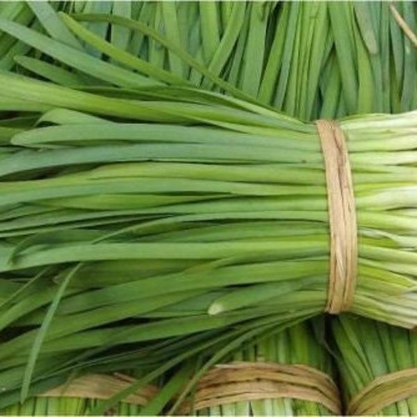 Rare Vegetable Seeds - Etsy