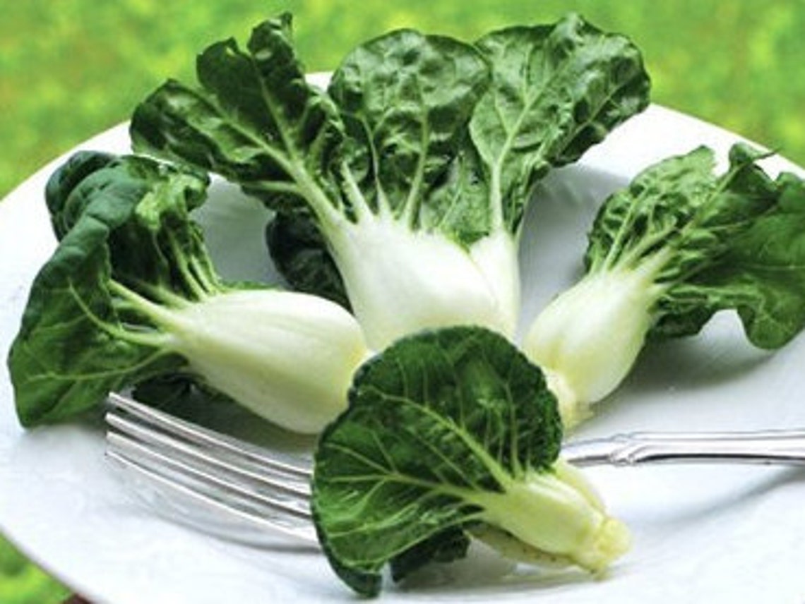 Extra Dwarf Baby Pak Choi 200 Seeds Chinese Cabbage Dwarf | Etsy
