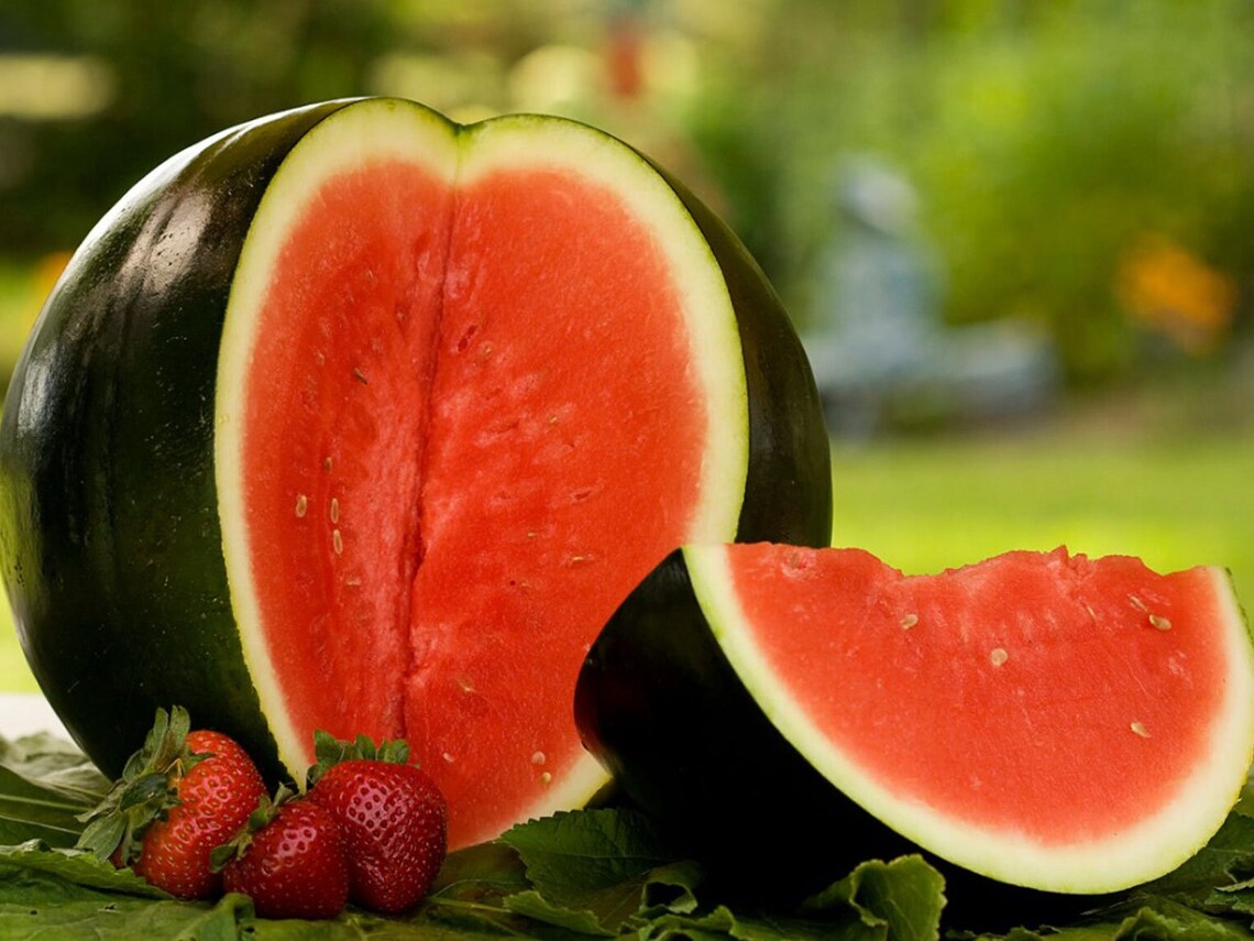 Sugar Baby Watermelon 30 Seeds Smaller Dwarfed Baby - Etsy