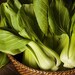 Shanghai Baby Pak Choi, 200 Seeds, Oriental Chinese Bok Choy Little ...