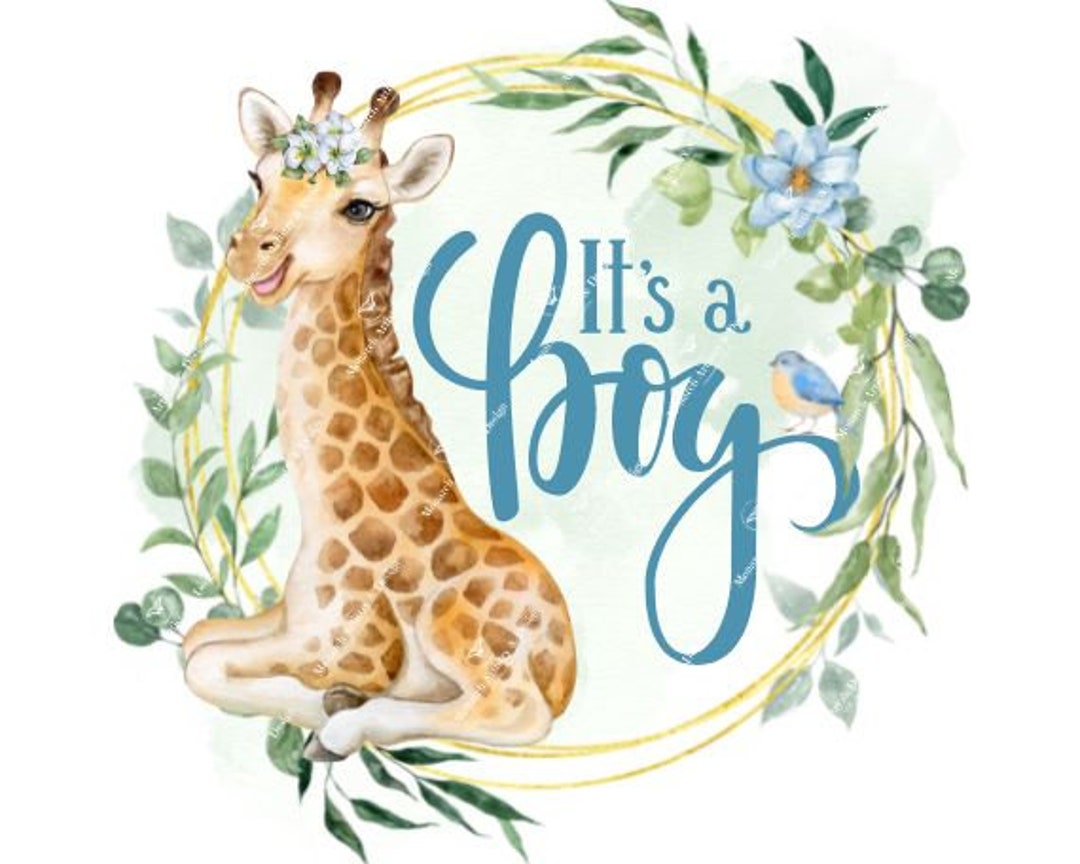 Baby Giraffe Baby Boy Giraffe It's A Boy Baby Giraffe Design Baby ...