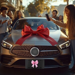 Pink Bow License Plate for Women Cute Pink Car Accessories for Teens ...