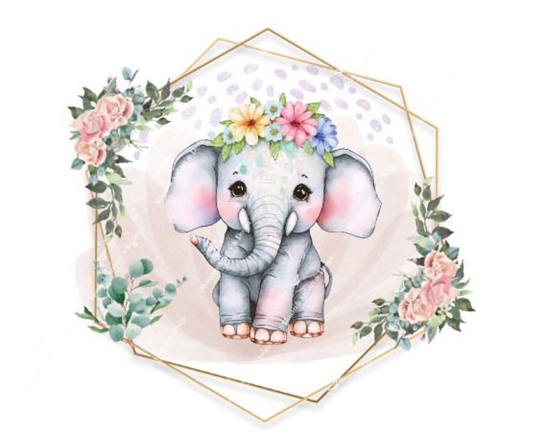 Baby Elephant Baby Girl Elephant Baby Elephant Design Elephant ...