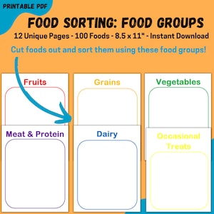 Food Group Sorting Nutrition Activity for Kids Healthy - Etsy