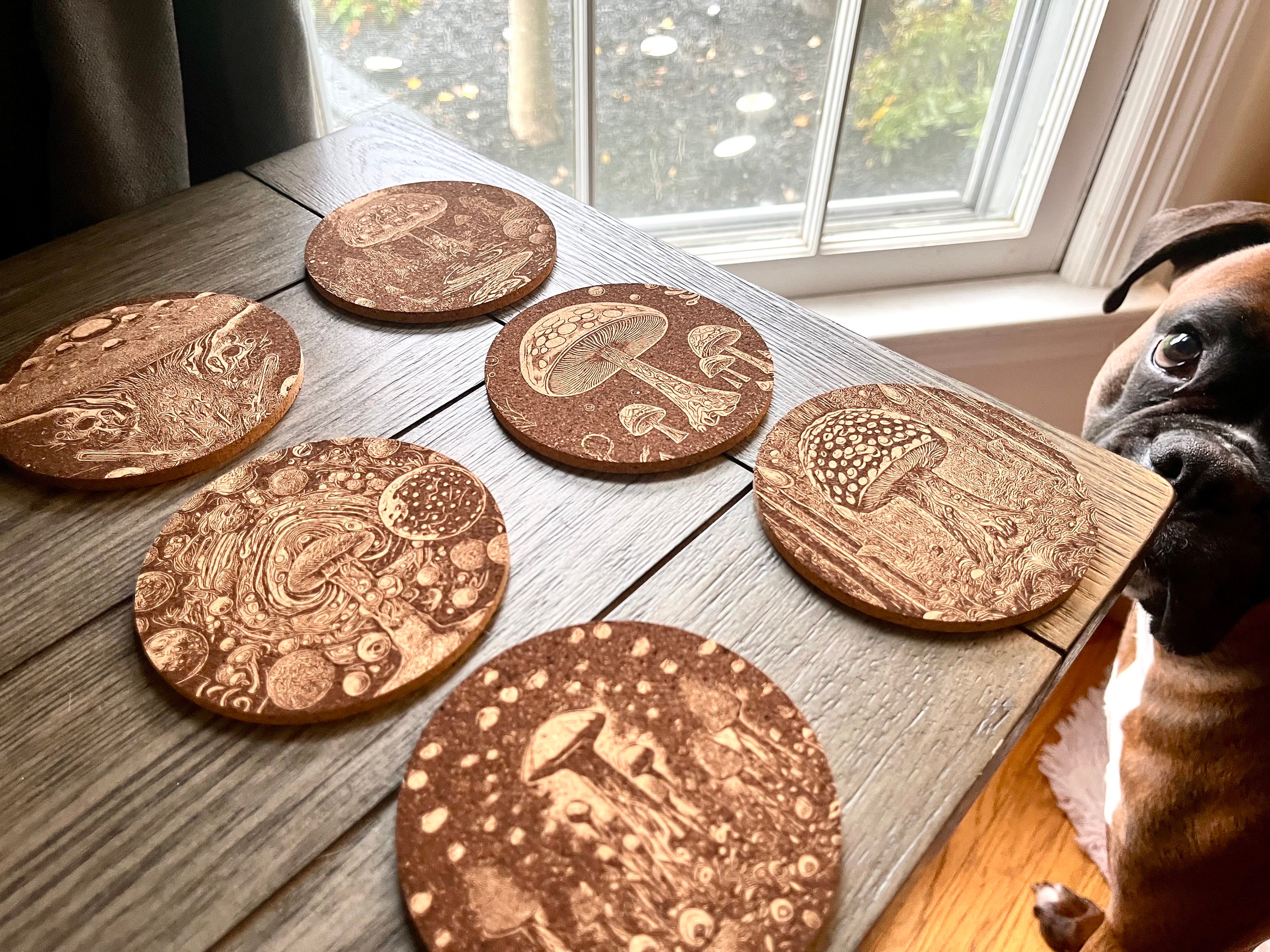 Mushroom Cork Coasters – Set of 6 | Laser Engraved Fungi Art | Earthy ...
