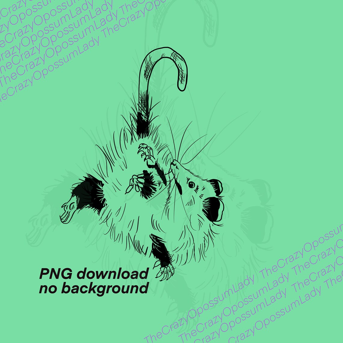 File : Opossum SVG Possum Woodland Wild Virginia Opossum - Etsy