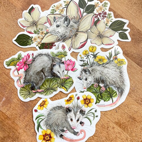 Sticker: Mega Possum Opossum Planner Craft Vinyl Art - Etsy